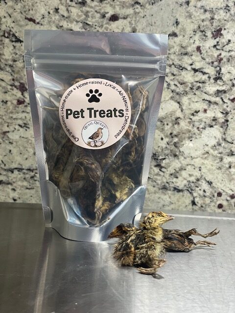Quail Chicks, Dehydrated Pet Treat – One Stop Quail Shop
